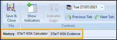 STarT MSK Questionnaire
